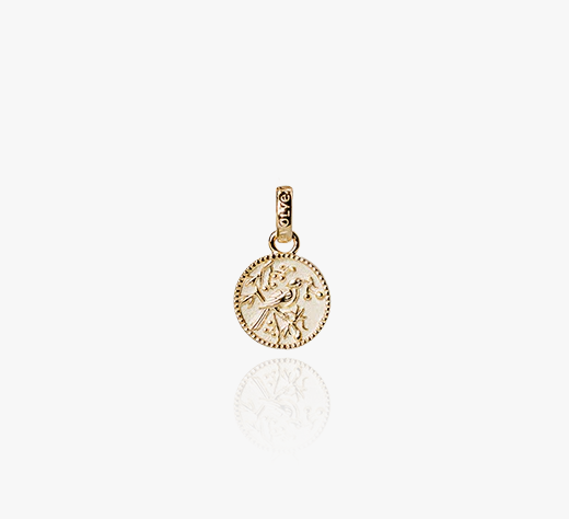 Evolve Gold Plated Tui Coin Pendant – Stonz Jewellers NZ